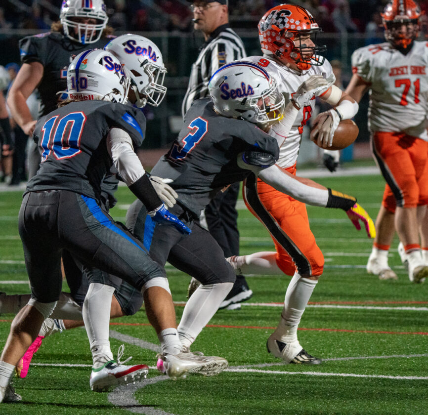 Selinsgrove defeats Jersey Shore to grab D4 AAAA football title | News ...